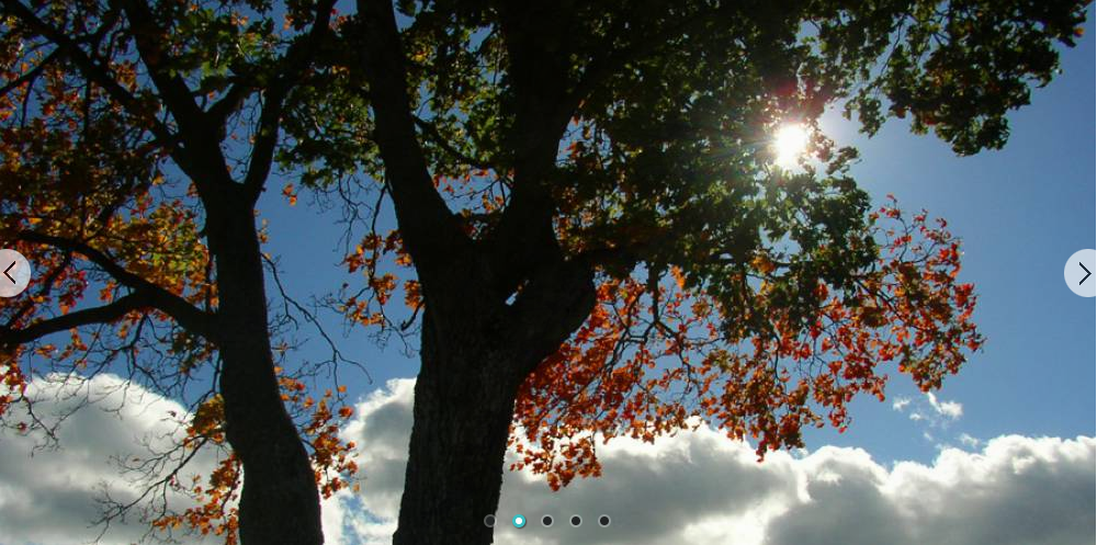 Simple Fade Slideshow – Banner Slider Demo